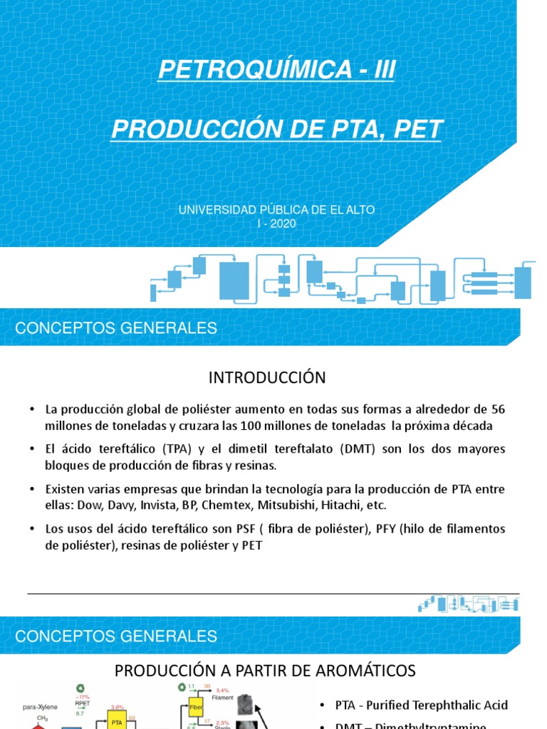 Pta, Pet-1 | PDF | Ácido acético | Hidrogenación