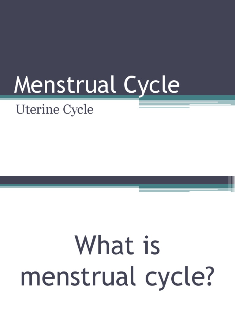 Menstrual Cycle PDF | Download Free PDF | Menstrual Cycle | Embryo