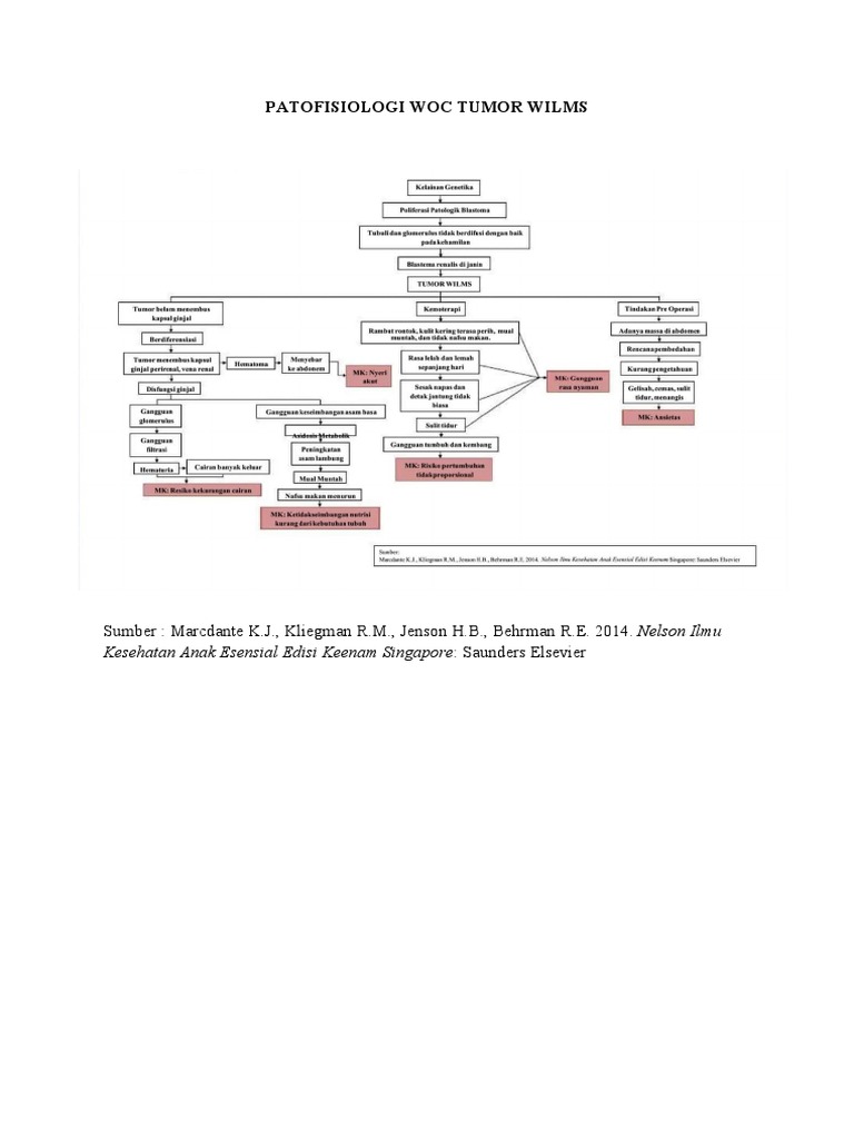 Patofisiologi Woc Tumor Wilms | PDF