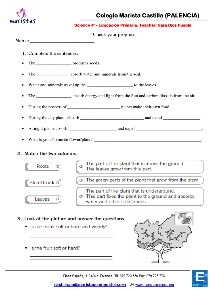 Activity 3 - Check Your Progress | PDF