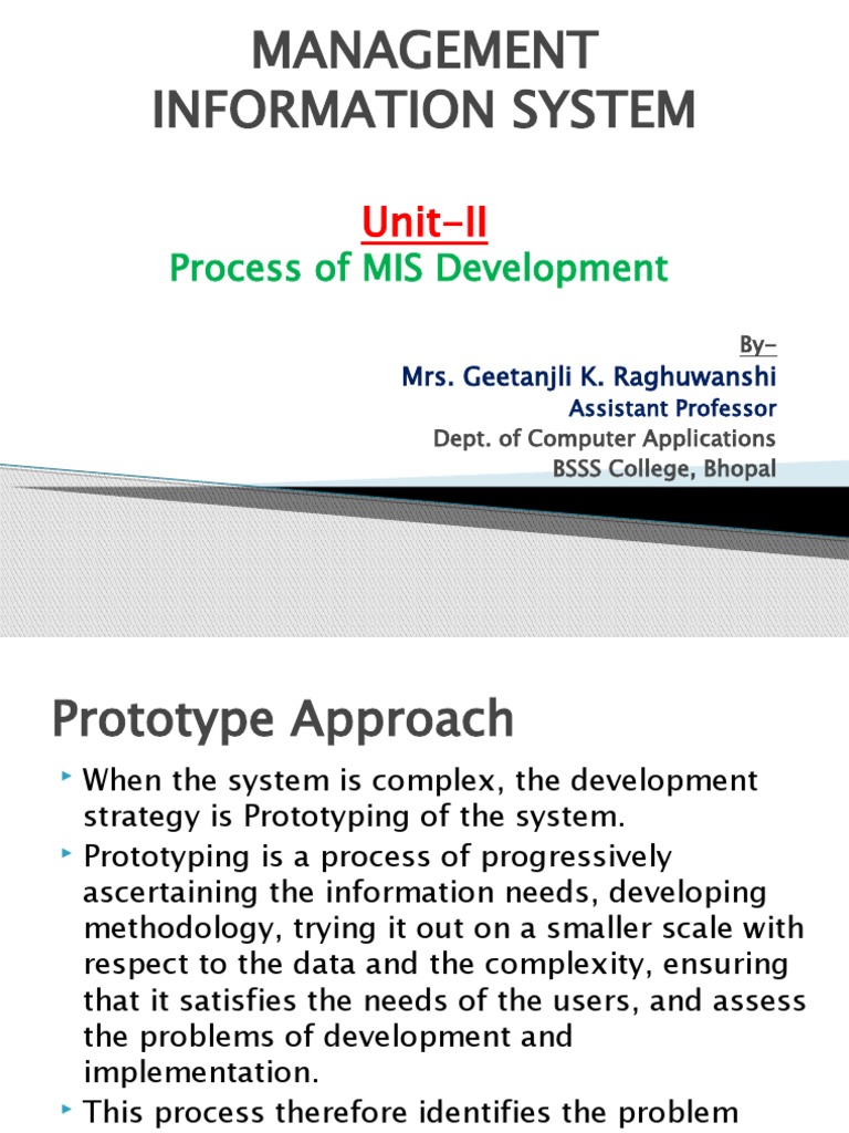 Process of Mis Development | PDF | Life Cycle Assessment | Audit