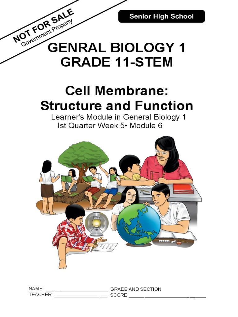 Cell Membrane Structure and Function | PDF | Cell Membrane | Phospholipid
