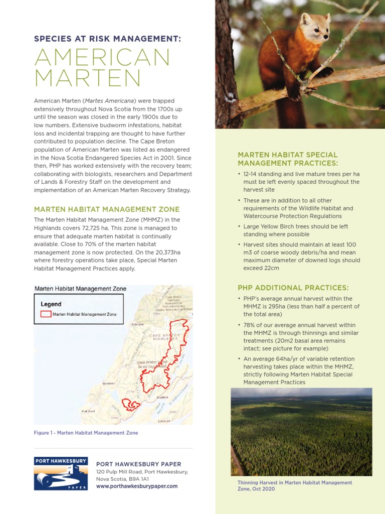 PHP Marten Sheet | PDF | Logging | Forestry