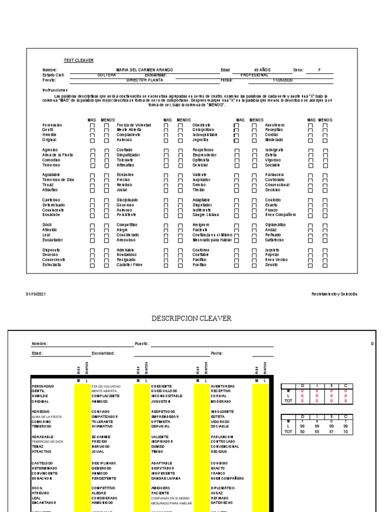 Cleaver Test | Descargar gratis PDF | Persuasión | Creatividad