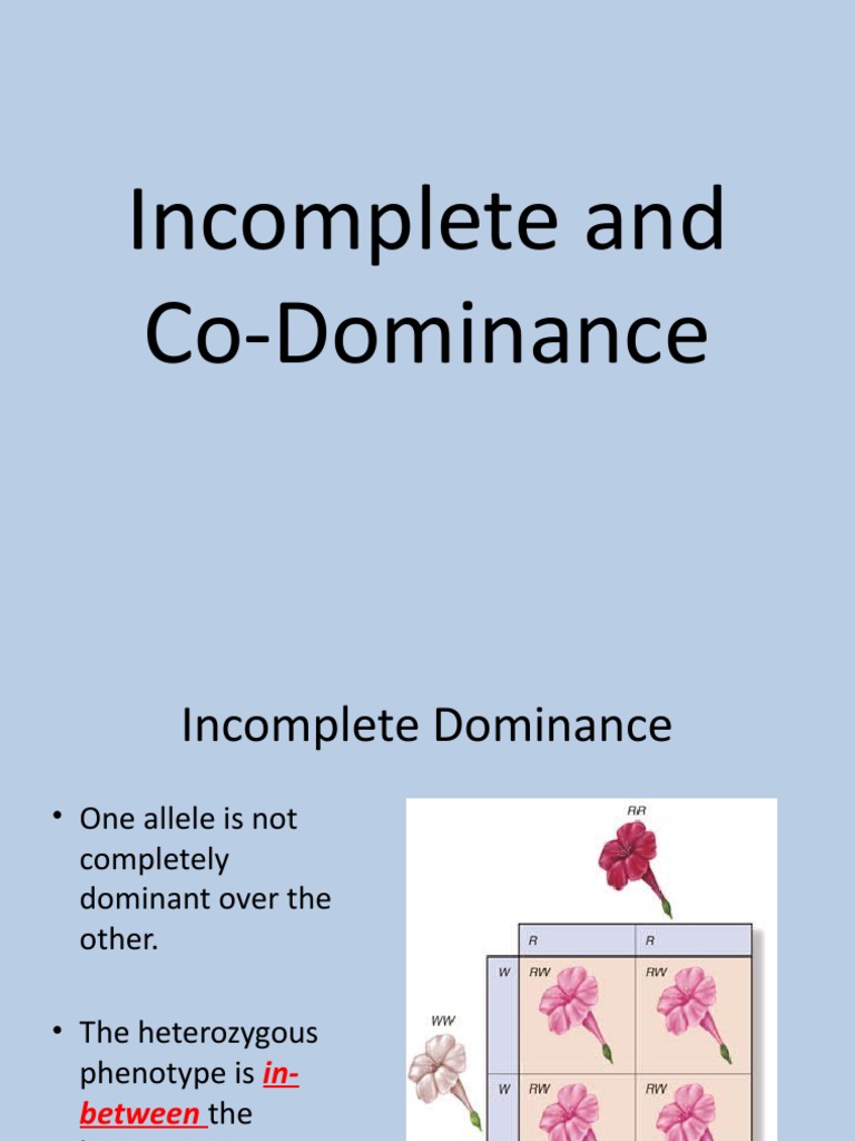 Incomplete and Co-Dominance | PDF | Dominance (Genetics) | Genotype