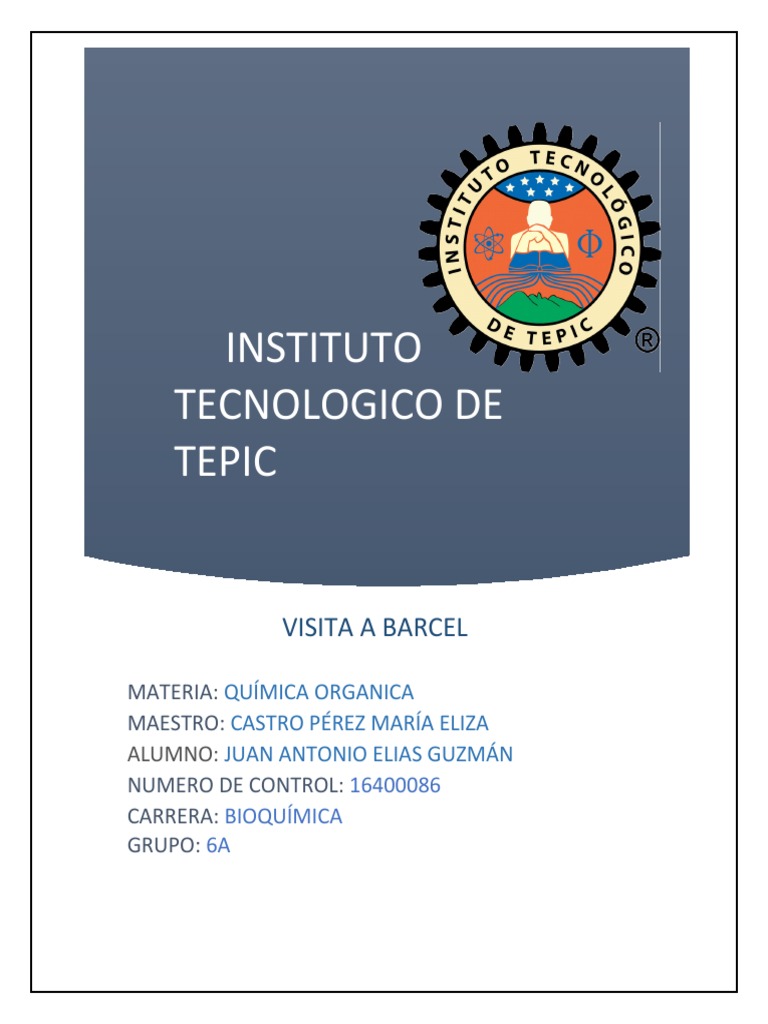 Barcel | PDF | Business