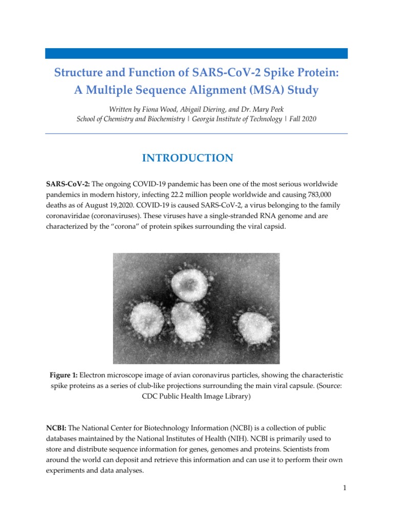 Structure and Function of Sars-Cov-2 Spike Protein: A Multiple Sequence ...
