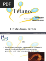 Deterioro Rostrocaudal: Etiología | PDF | Medicina | Sistema nervioso