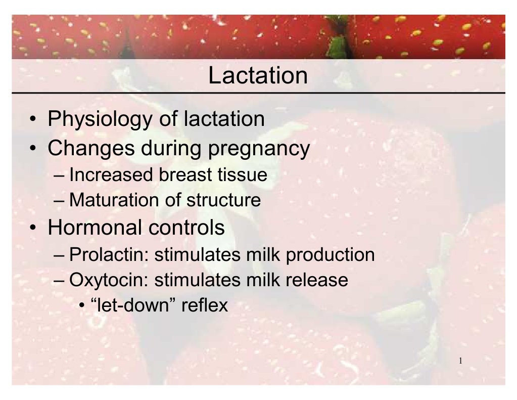 Lactation | PDF | Lactation | Breastfeeding