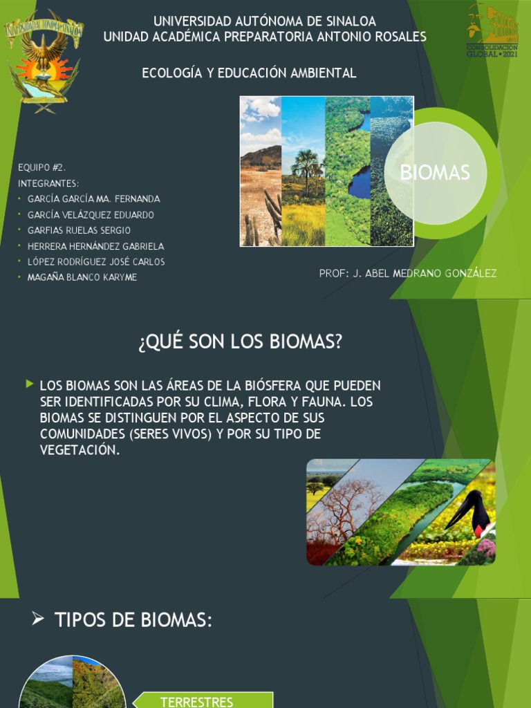 Biomas: Definición y Tipos Principales | PDF | Biomas | Habitat