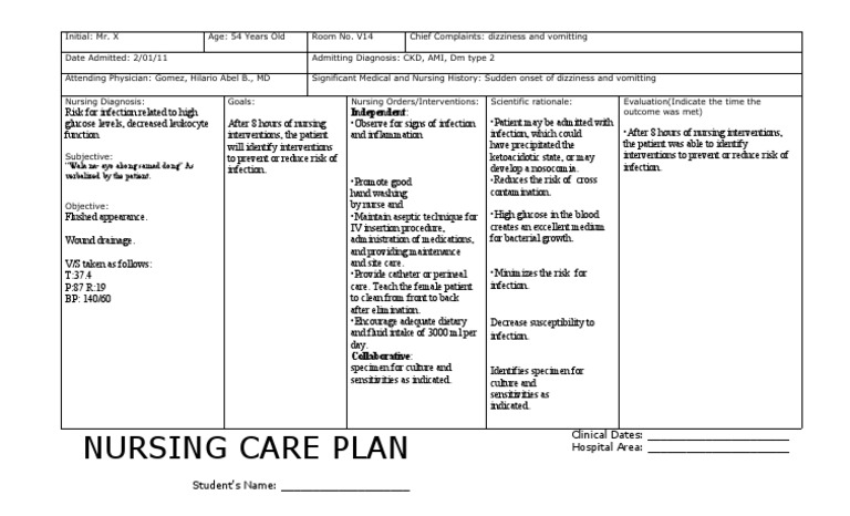 Nursing Care Plan: Independent | PDF | Infection | Nursing
