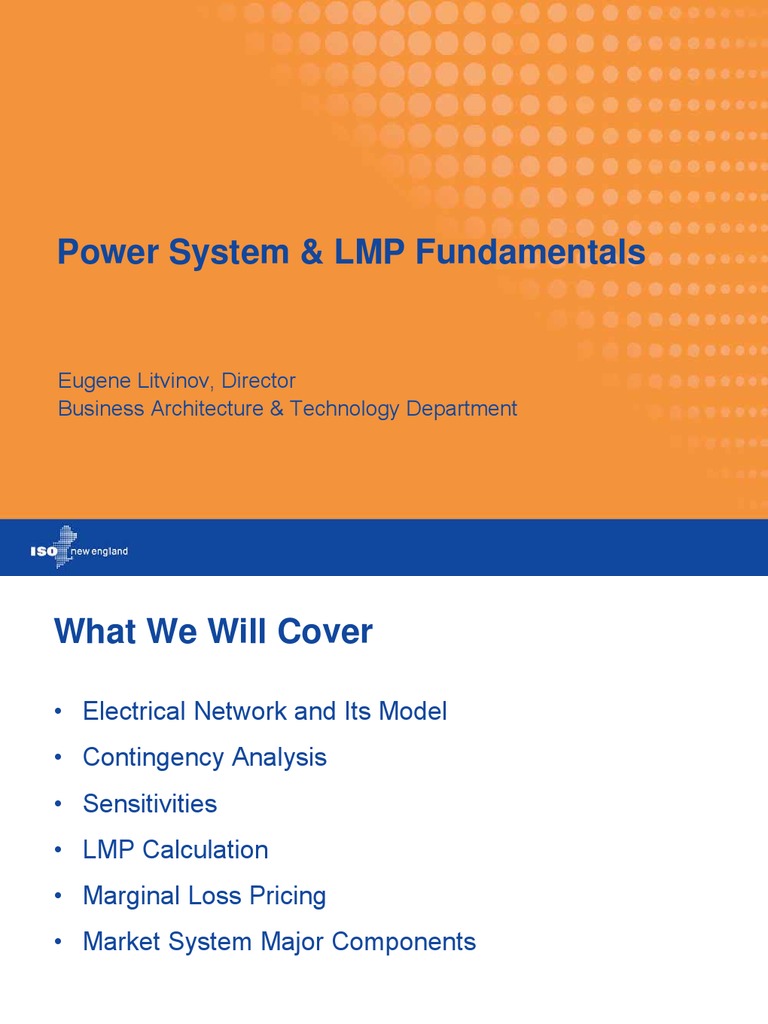 LMP AdvancedWPM ELitvinovWEM301 | PDF | Electric Power System ...