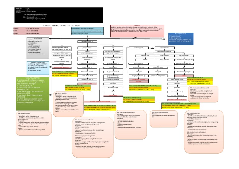 Mind Mapping DM Liza | PDF
