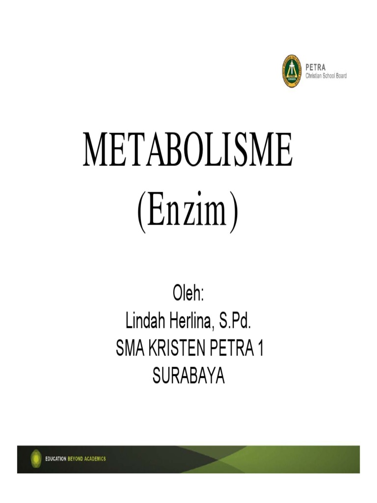 Metabolisme (Enzim) | PDF