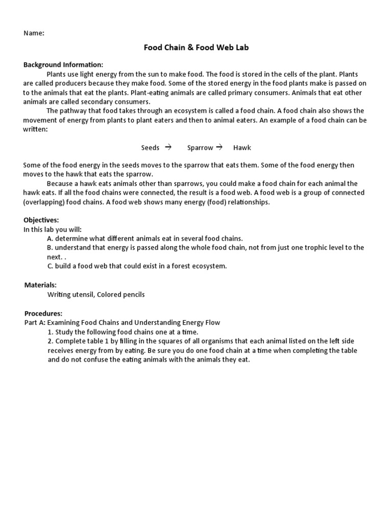 Food Chain & Food Web Lab: Background Information | PDF | Food Web ...