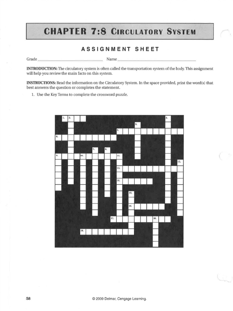 Dho Workbook C 7-8 | PDF