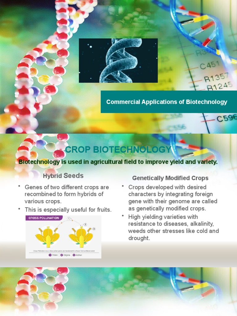 Powerpoint Project Commercial Applications of Biotechnology | PDF