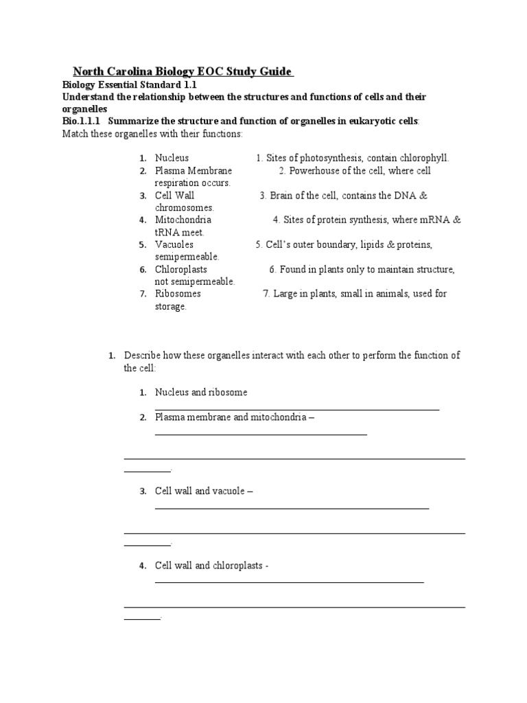 North Carolina Biology EOC Study Guide | PDF | Dominance (Genetics ...