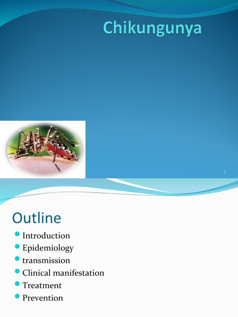 Chikungunya | PDF | Virology | Animal Diseases