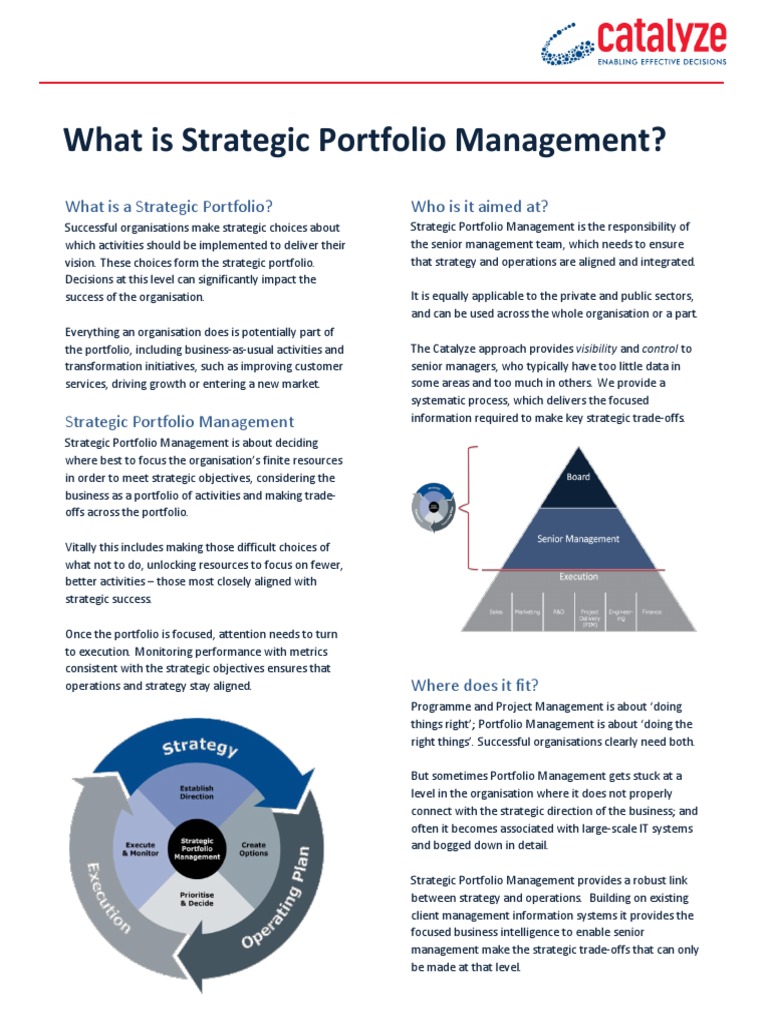 What Is Strategic Portfolio Management V1 0 PDF PDF Investment