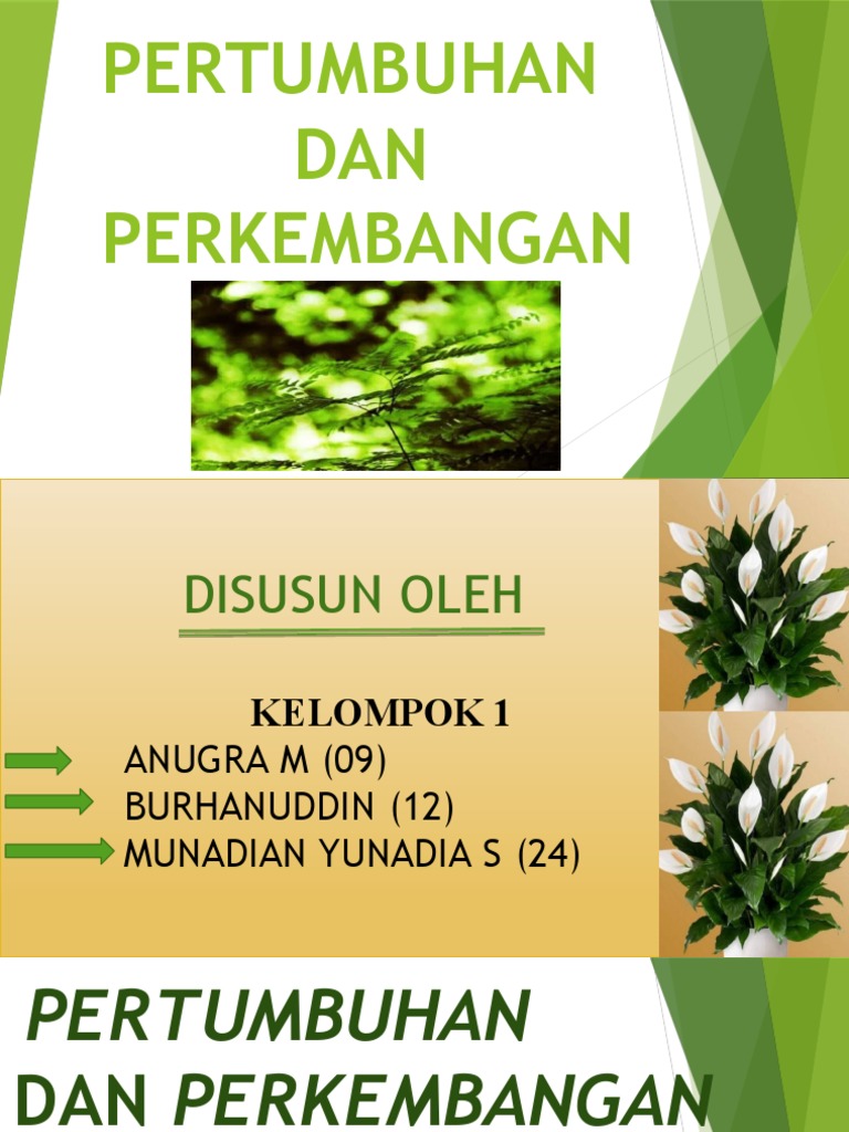 Biologi Jubel 12 Ipa 1 | PDF