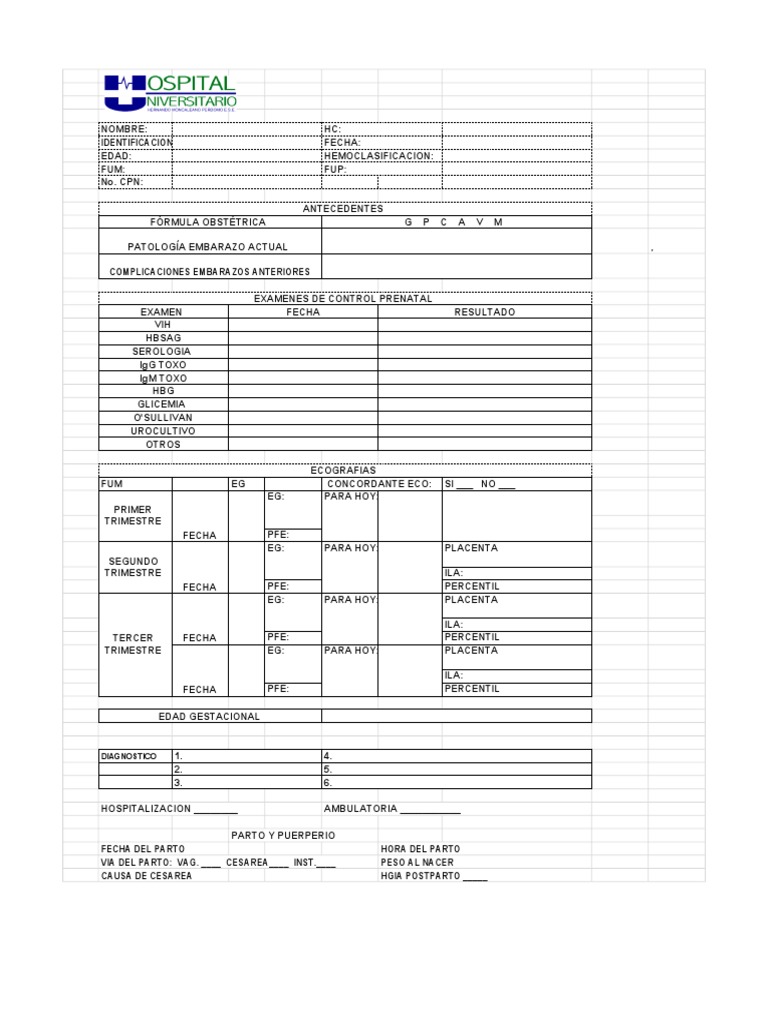 FORMATO DE CONTROLES PRENATALES COMPLETO - Xls - Hoja1 | PDF