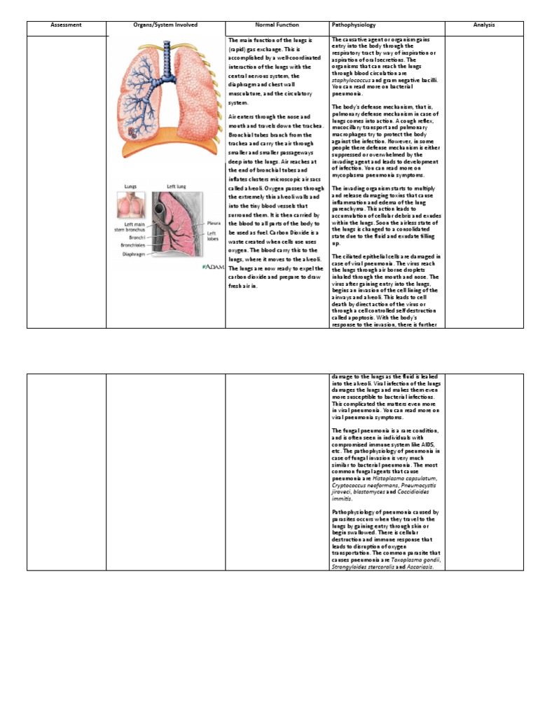 Assessment Organs/System Involved Normal Function Pathophysiology ...