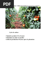 Fiche 8 Technique de La Culture de Tomate | PDF | Fertilisant | Tomate