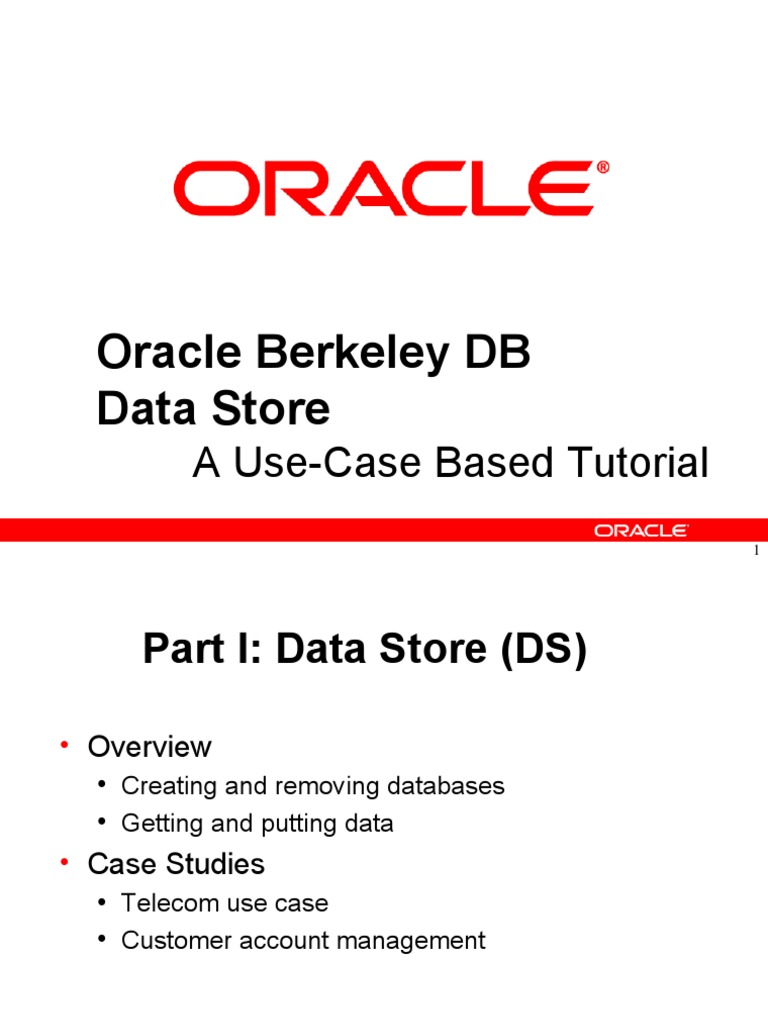 Oracle Berkeley DB Tutorial | PDF | Database Index | Databases