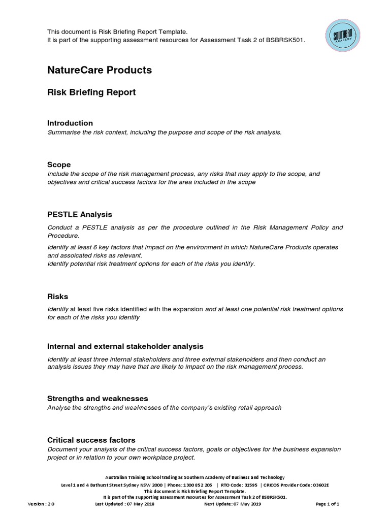 Risk Briefing Report Template | PDF