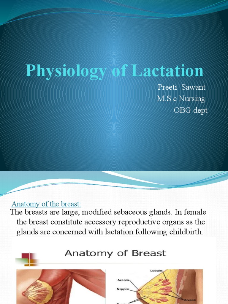 Physiology of Lactation | PDF | Lactation | Human Anatomy