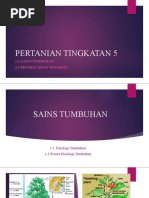 Morfologi Dan Tipe - Tipe Buah | PDF