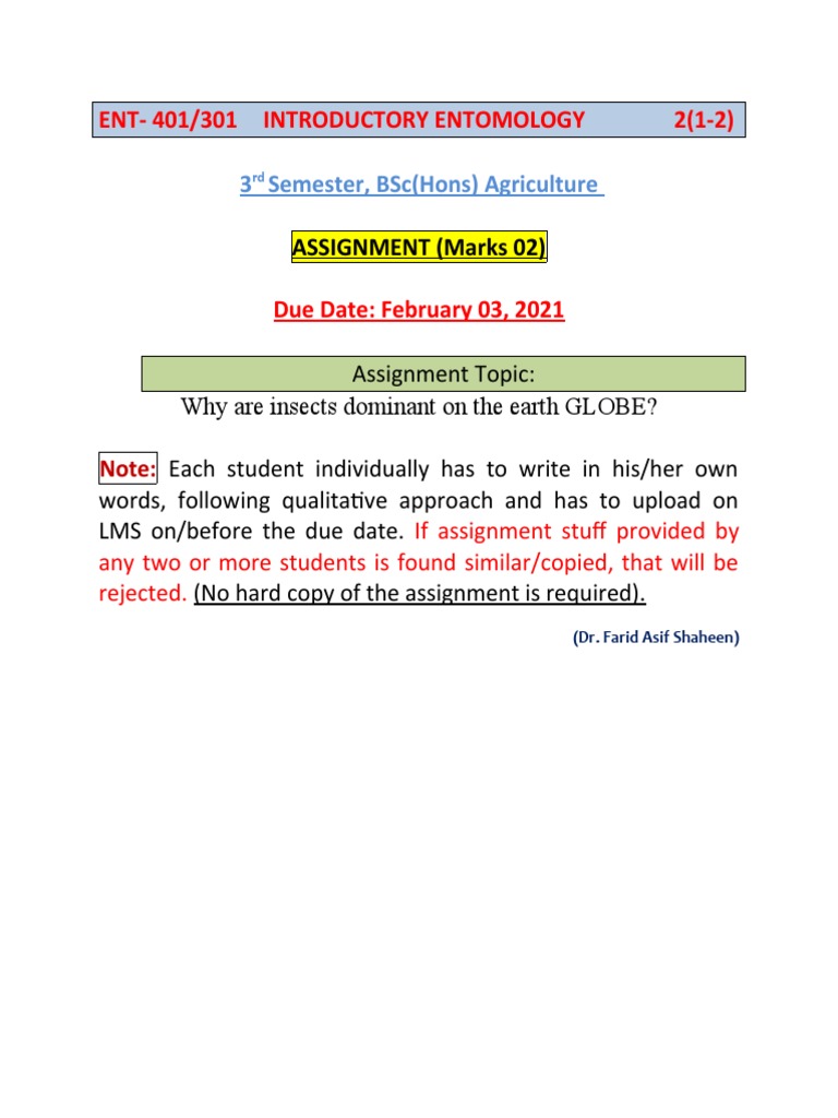 ENT 401 ASSIGNMENT (Dr. Shaheen) | PDF
