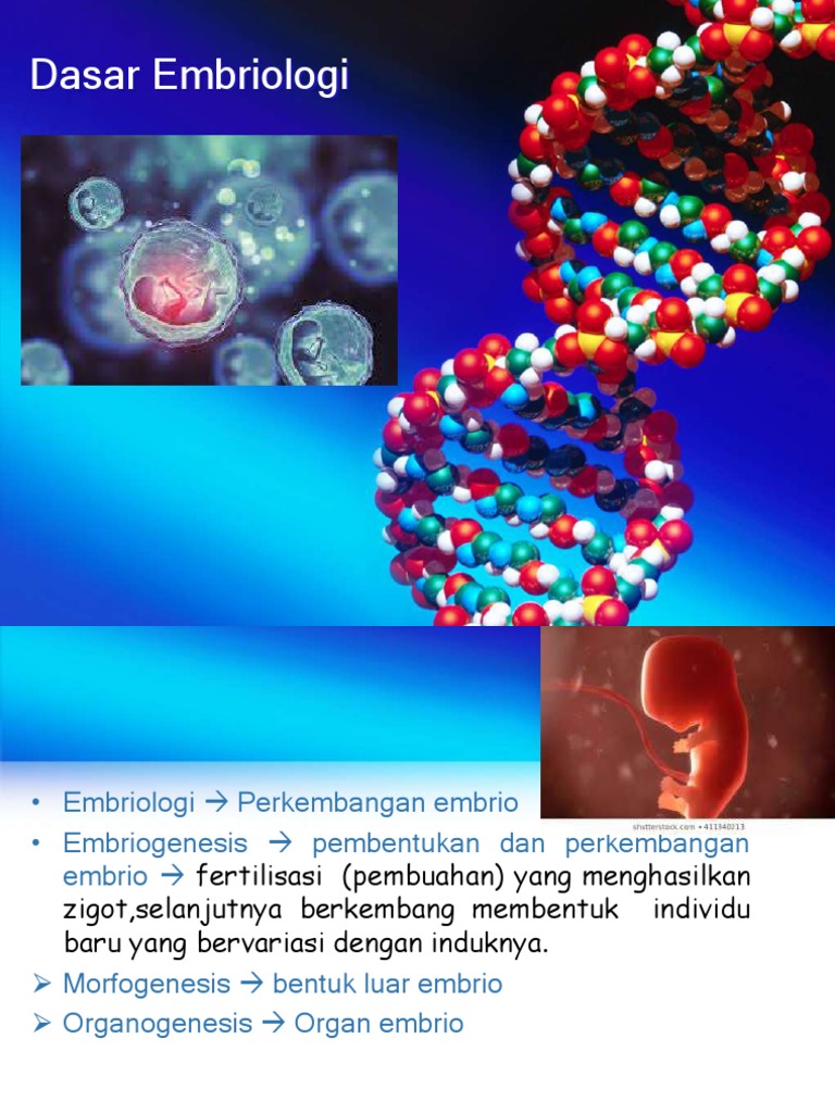 Dasar Embriologi | PDF