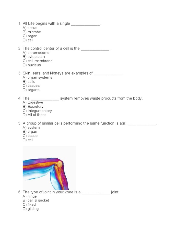 Multiple Choice Questions of Human Body | PDF | Human Body | Endocrine ...
