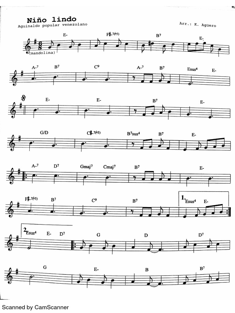 Scanned Document Viewer Guide | PDF