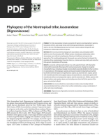 7es Detailed Lesson Plan Hierarchy of Taxonomic Classification | PDF ...