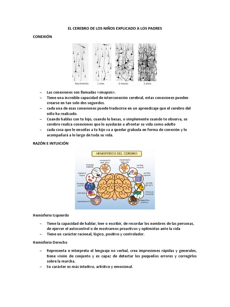 El Cerebro De Los Niños Explicado A Los Padres Pdf Cerebro