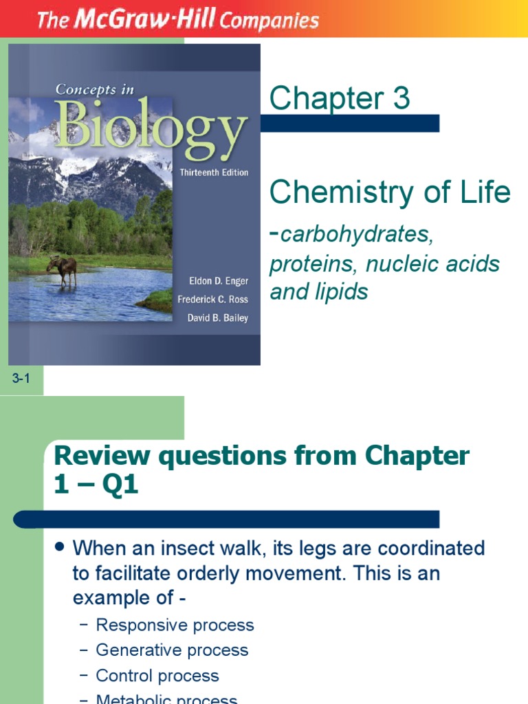 Chemistry of Life - : Carbohydrates, Proteins, Nucleic Acids and Lipids ...