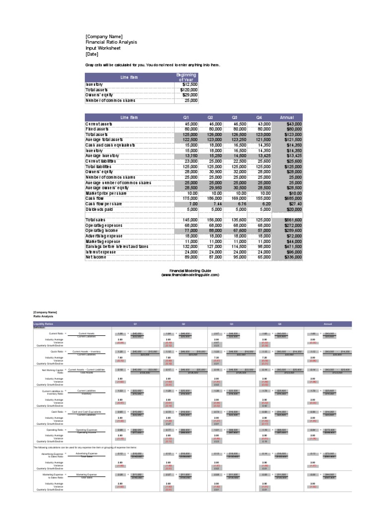 Financial Ratio Analysis Template | PDF | Equity (Finance) | Dividend