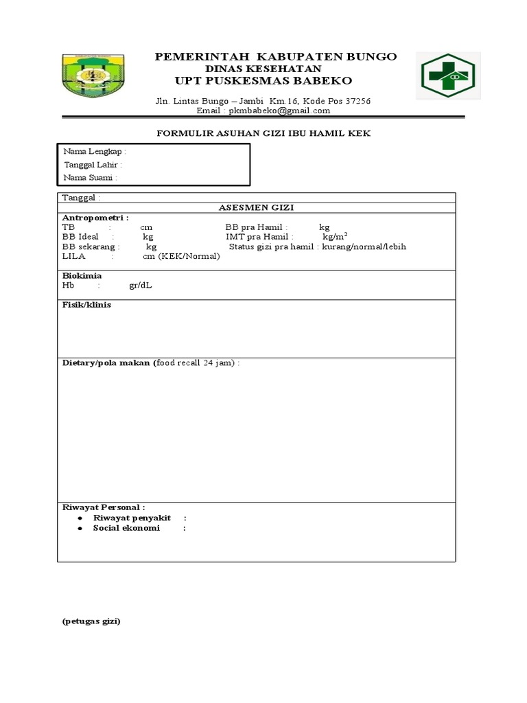 Formulir Asuhan Gizi Ibu Hamil Kek | PDF