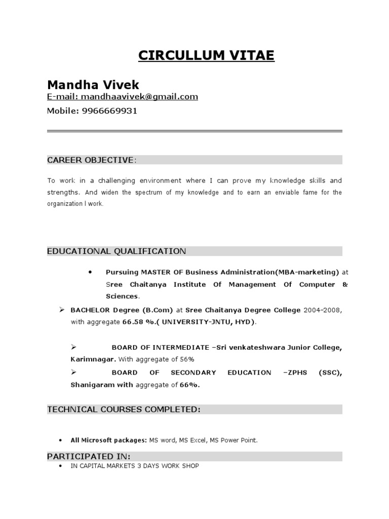 VIVEK Resume | PDF