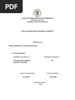 Tallos Modificados - Botánica | PDF | Tallo de la planta | Morfología ...
