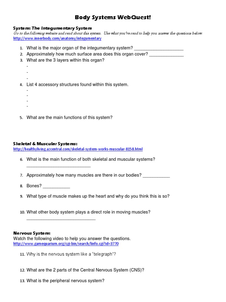 Body Systems Webquest 1 PDF | PDF | Muscle | Gastrointestinal Tract
