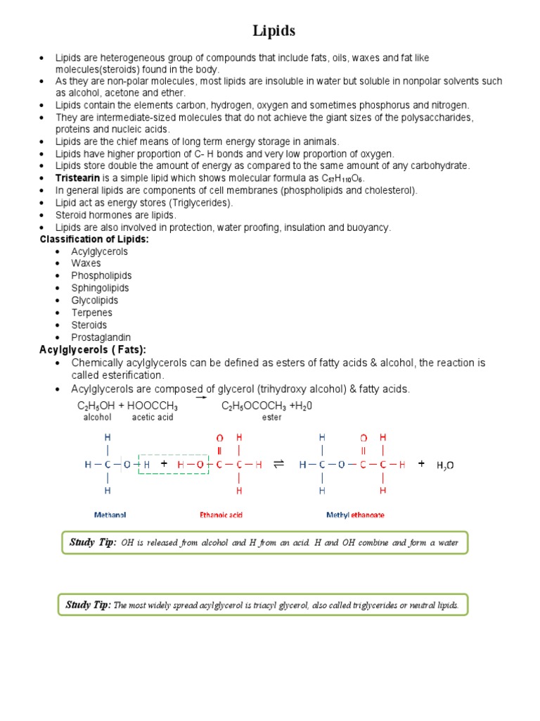 Classification of Lipids | PDF | Lipid | Fat