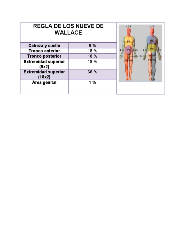 Regla de Los Nueve de Wallace | PDF