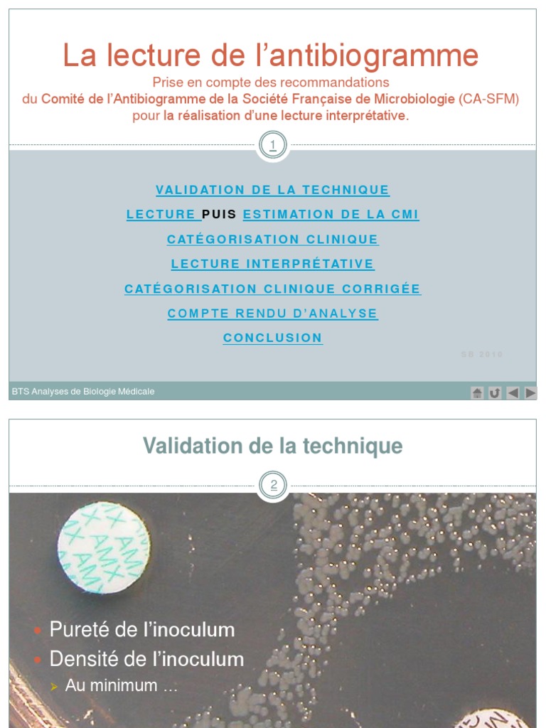Lecture Interprétative de l'Antibiogramme | PDF | Microbiologie | Biologie