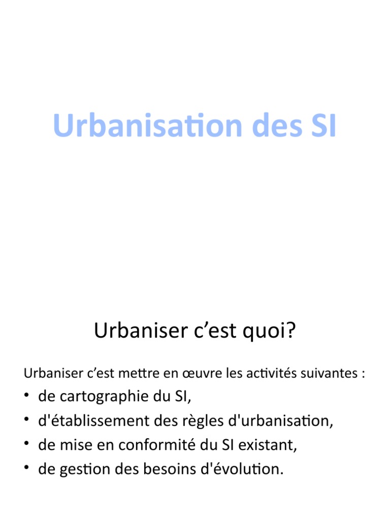 Urbanisation Des SI | PDF | Entrepreneur principal | Informatique