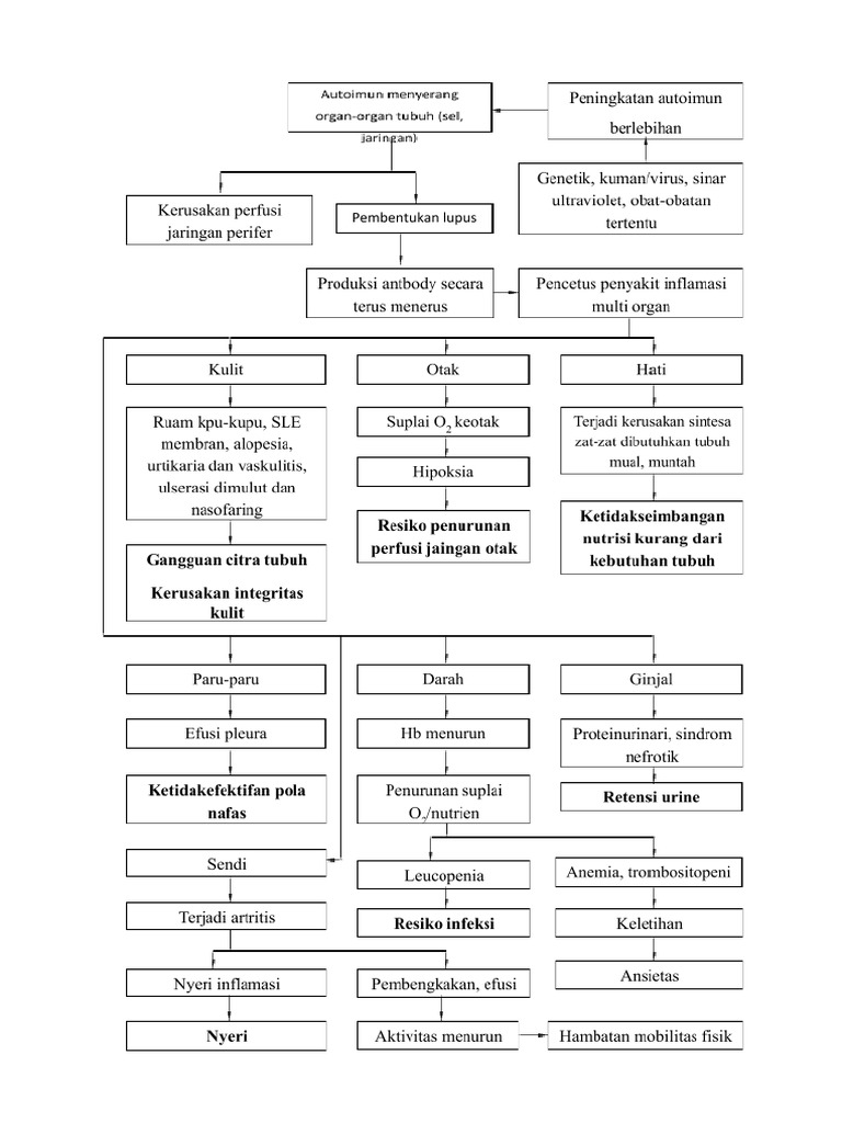 Pathway SLE | PDF
