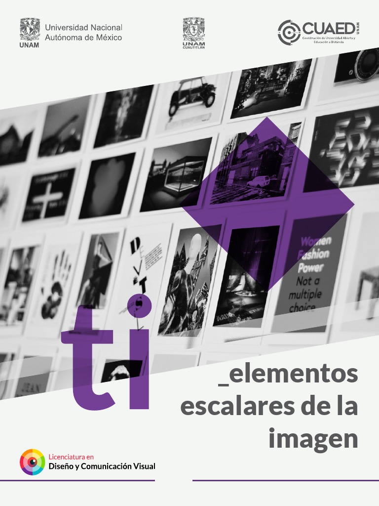 Elementos Escalares de La Imagen | PDF | Perspectiva (Gráfica ...